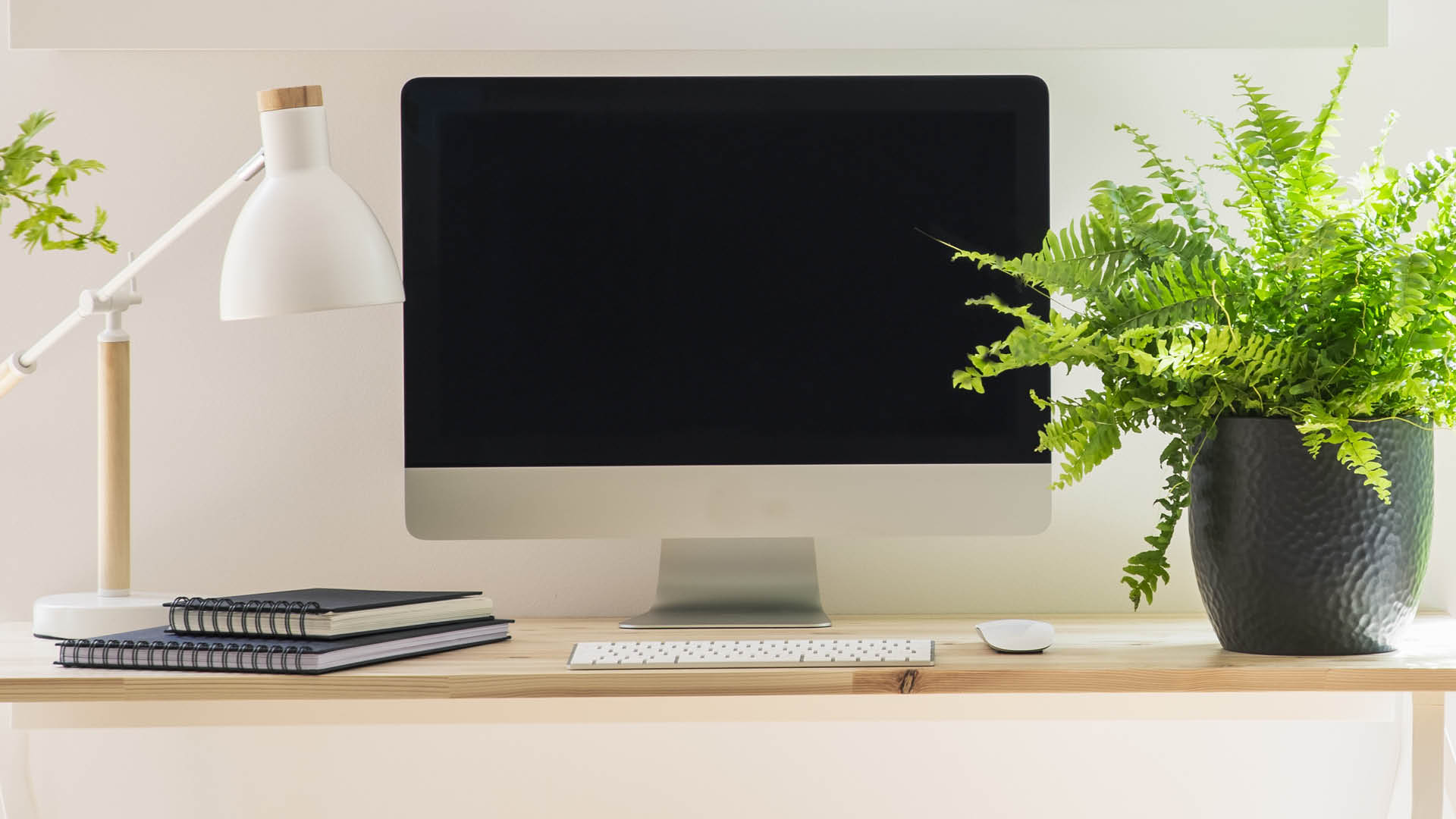 Making your workplace zen | TAFE Queensland