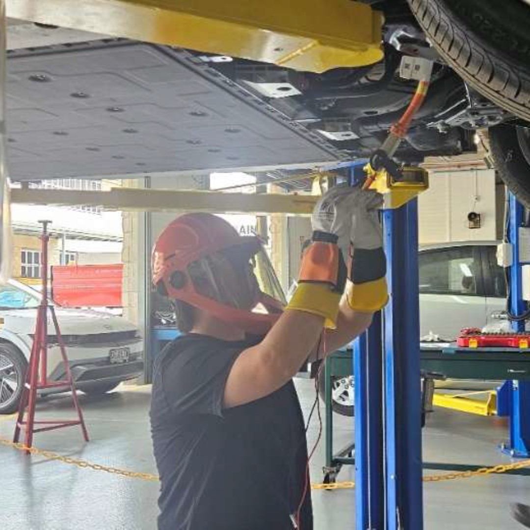 Program builds region's skills for bright future | TAFE Queensland